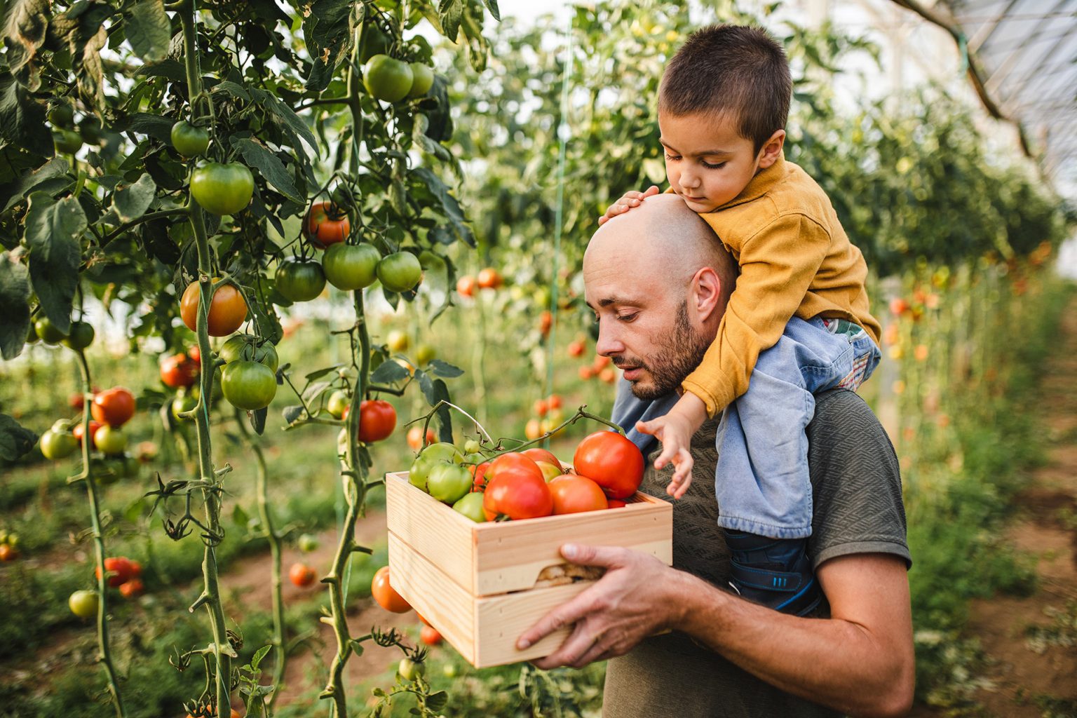 For growers - FoodSecure Melbourne